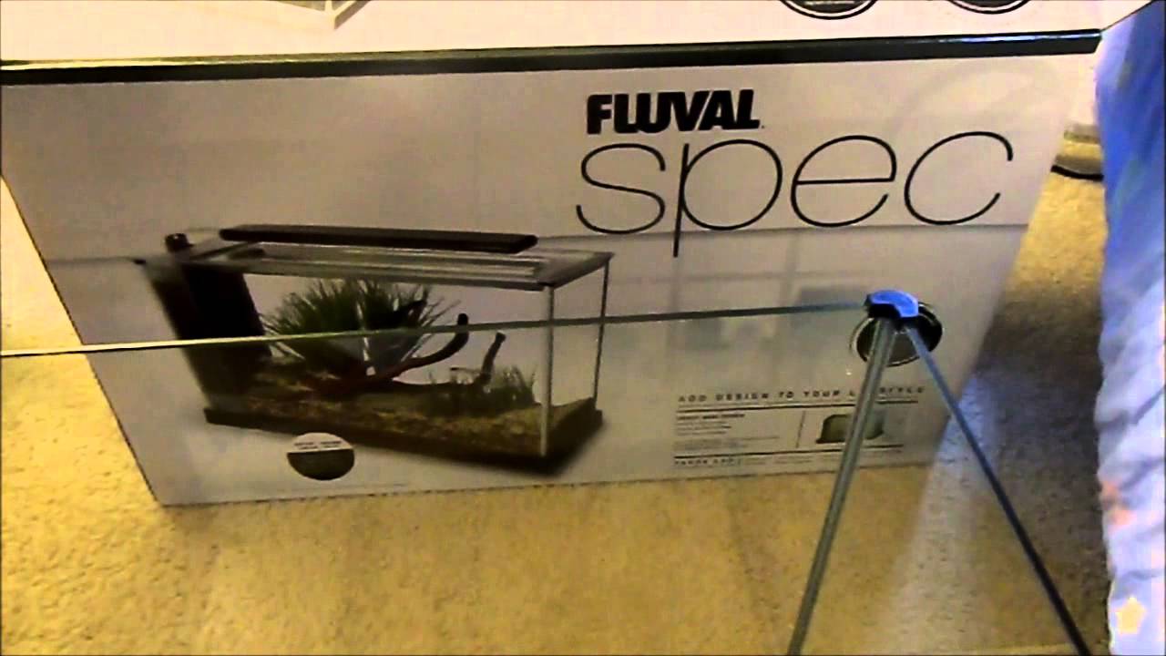 New Tank - Fluval Spec 5 Gallon - YouTube