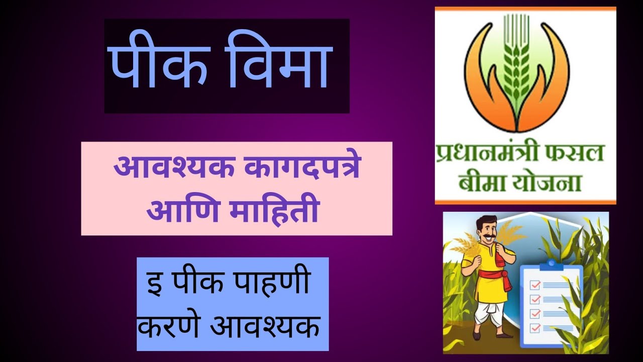 pik vima yojana पीक विमा योजना 2024 pmfby documents list - YouTube