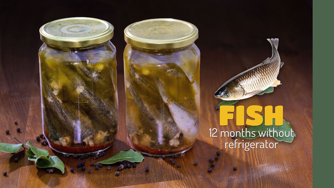 FISH 12 months without refrigerator - YouTube