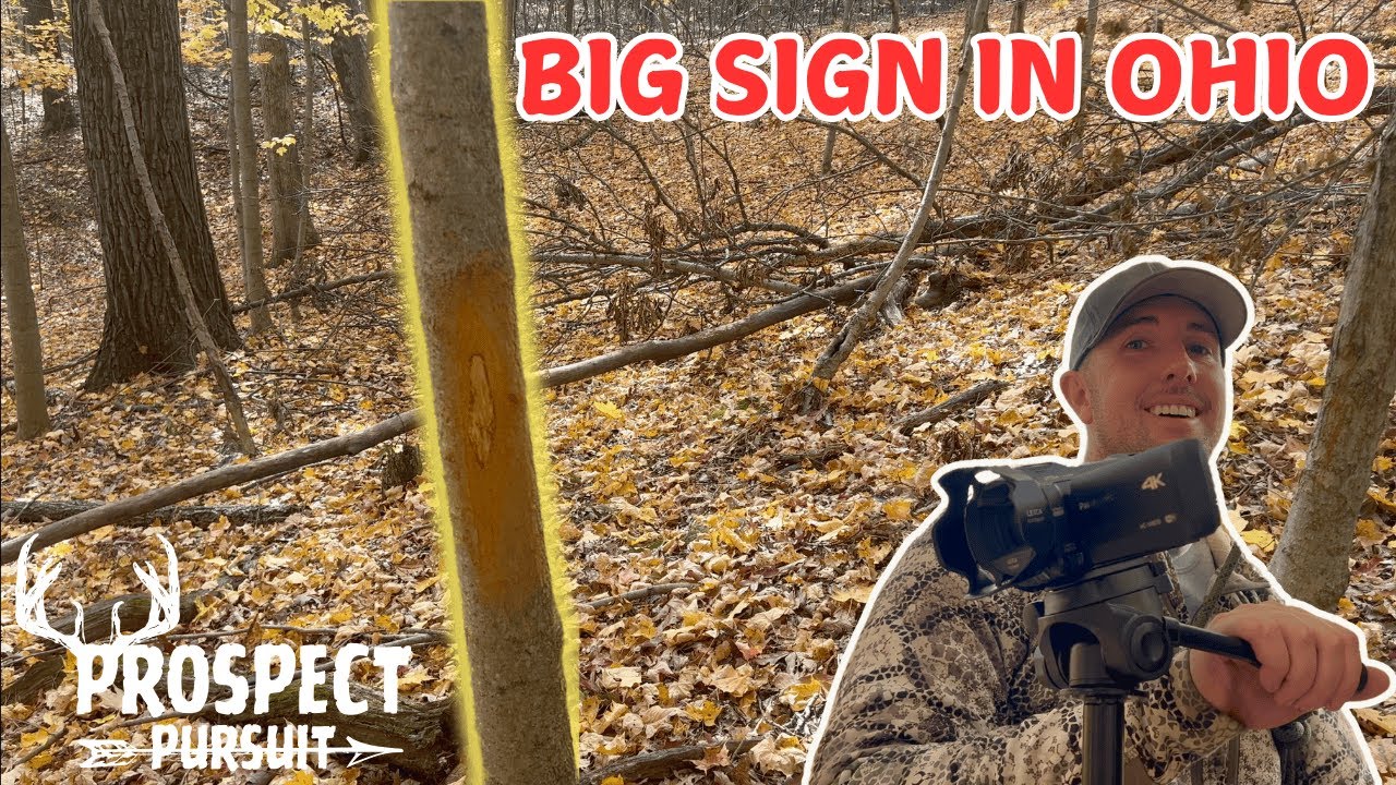Public Land hunting in OHIO - YouTube