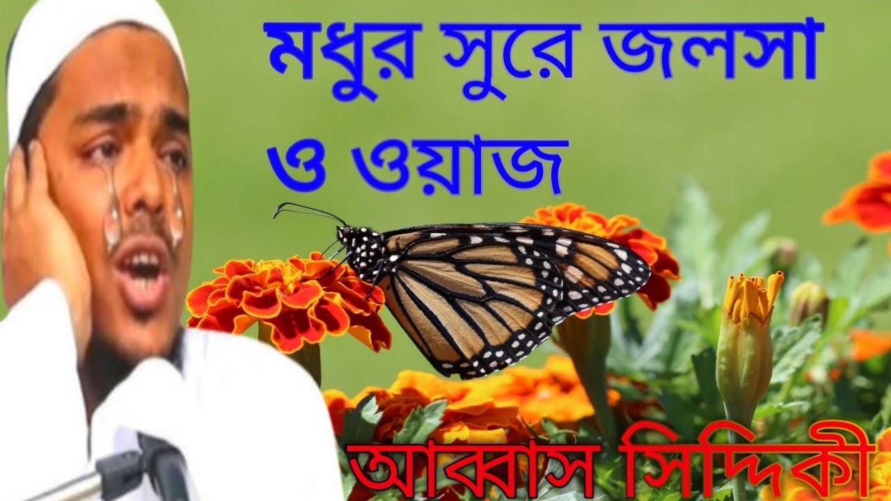 pirzada abbas siddiqui jalsa //মধুর সুরে জলসা ও ওয়াজ আব্বাস সিদ্দিকী ...