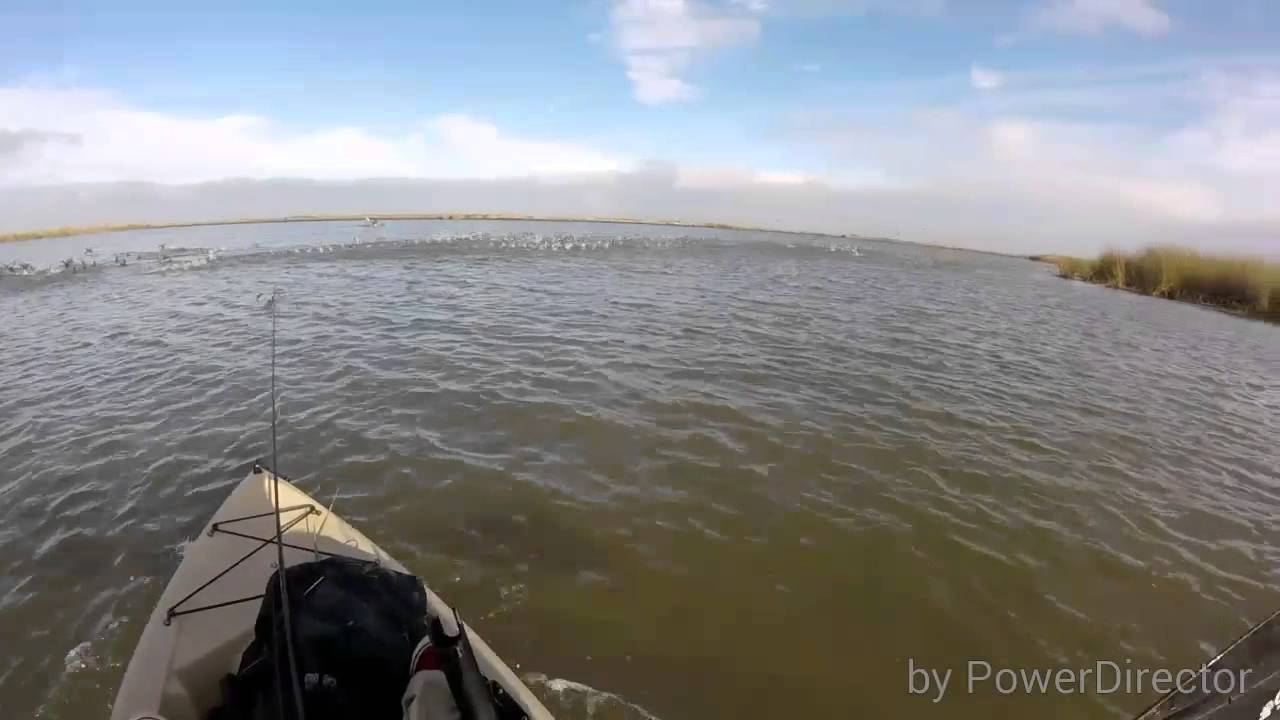 little potato slough CA Delta bass fishing. - YouTube