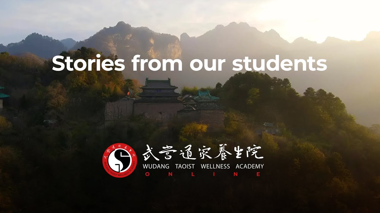 Stories from our Students - WTWA Online - YouTube