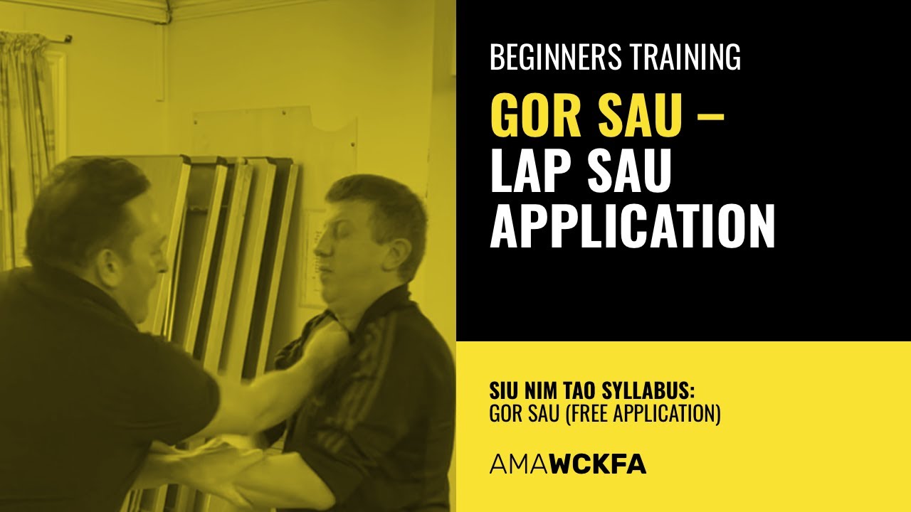Gor Sau | Using Lap Sau: Free Sparring - YouTube