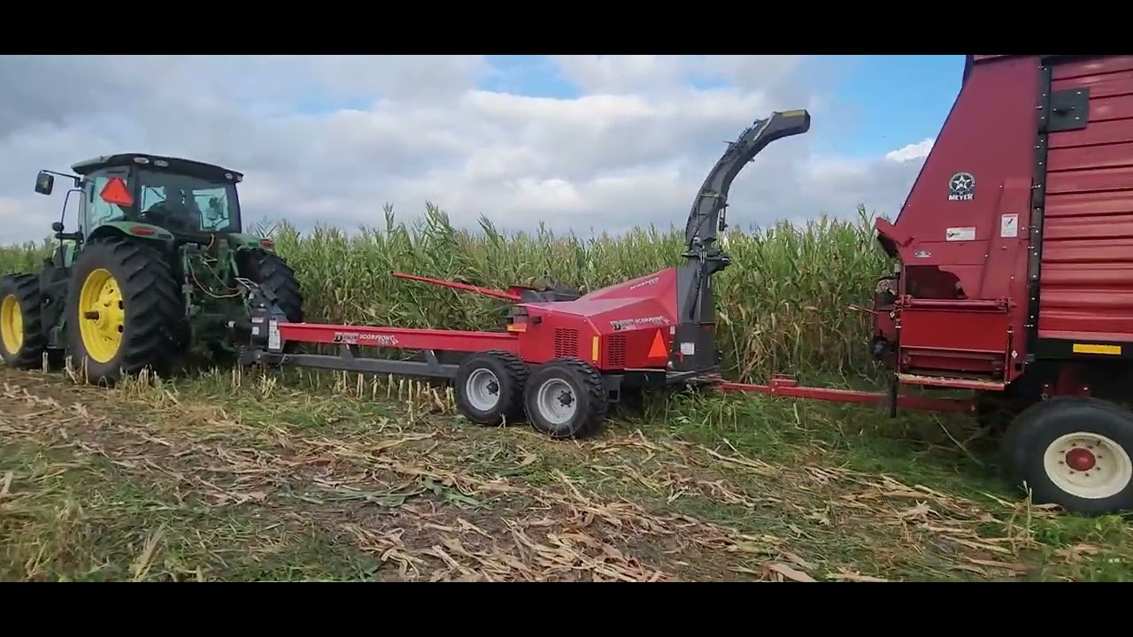 scorpion 300 chopper - YouTube