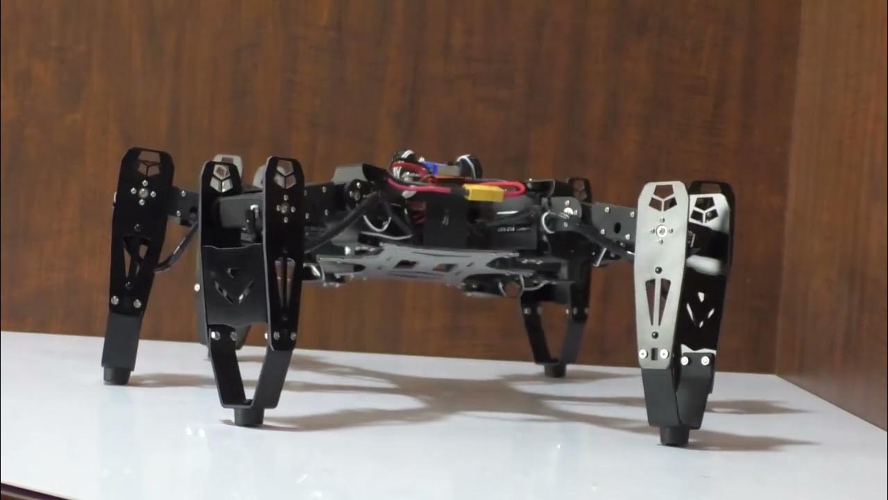 Hexapod Robot || Animal Robot || Spider Robot - YouTube