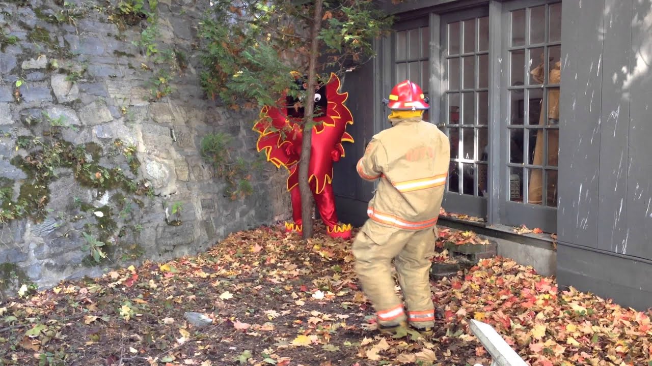 Adirondack Flames mascot reveal - YouTube