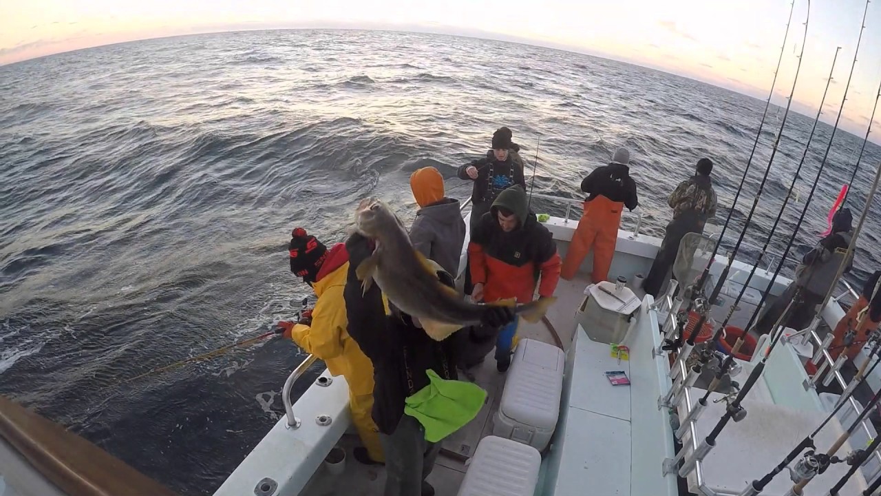 Montauk Cod Trip - YouTube