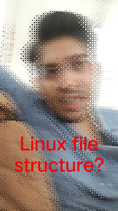 linux file system structure? #dailystudylinux #linuxinterviewquestions - YouTube