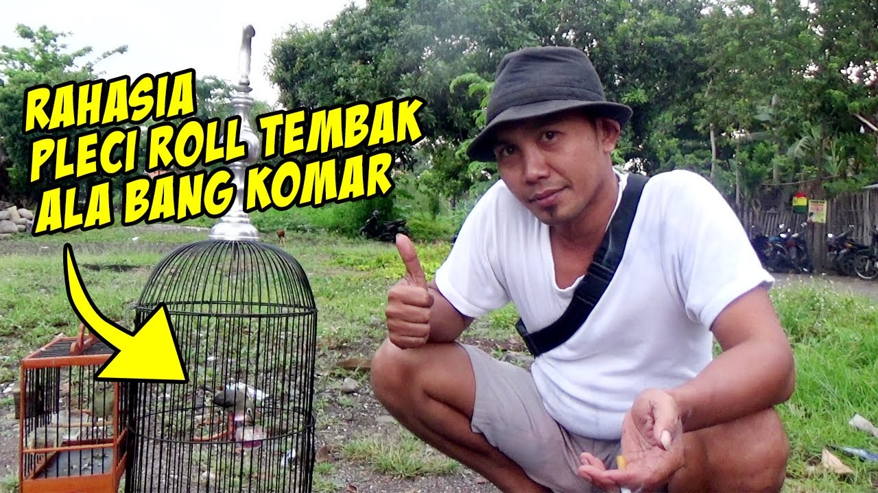 Cara Membuat Pleci Roll Tembak Ala Abang Komar - YouTube
