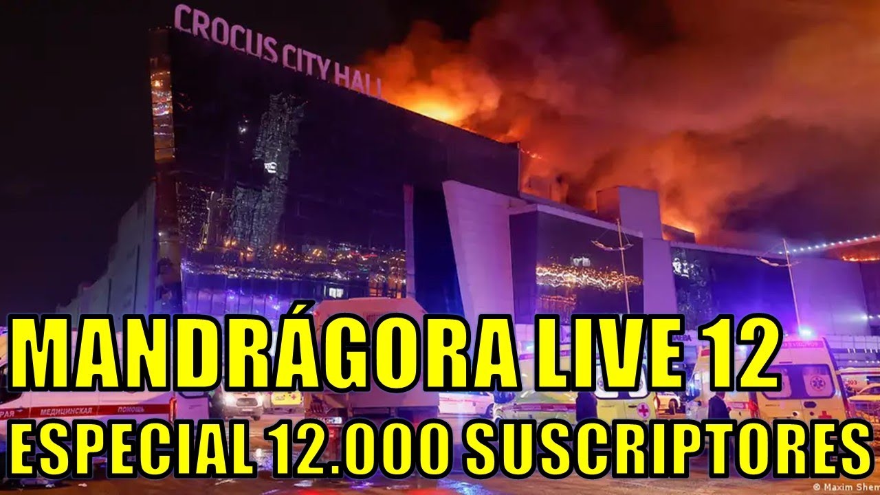 🔴 MANDRÁGORA LIVE 12🔴 - YouTube