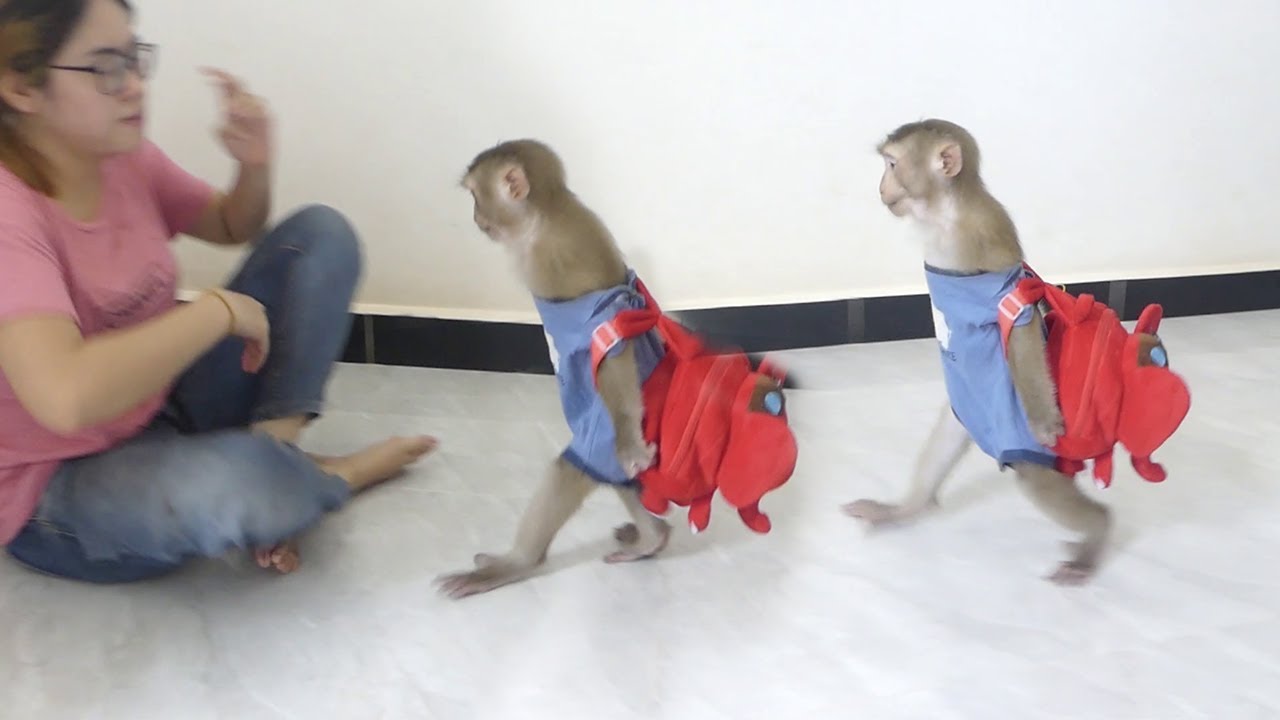 Very Obediently Donal Carry Back Walk Mom Help Open To Take Sero Fresh ...