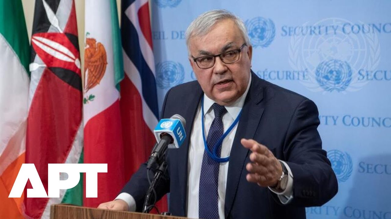 Russia Urges Immediate Action on Palestine at UN Conference | Vershinin ...