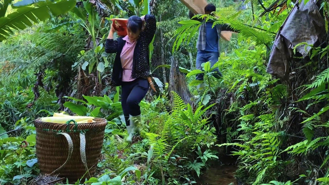 Living Off Grid Prepare For Built Homesteading - Simple Life ...