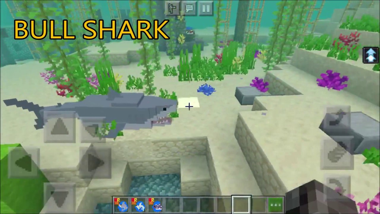 Minecraft Shark Design