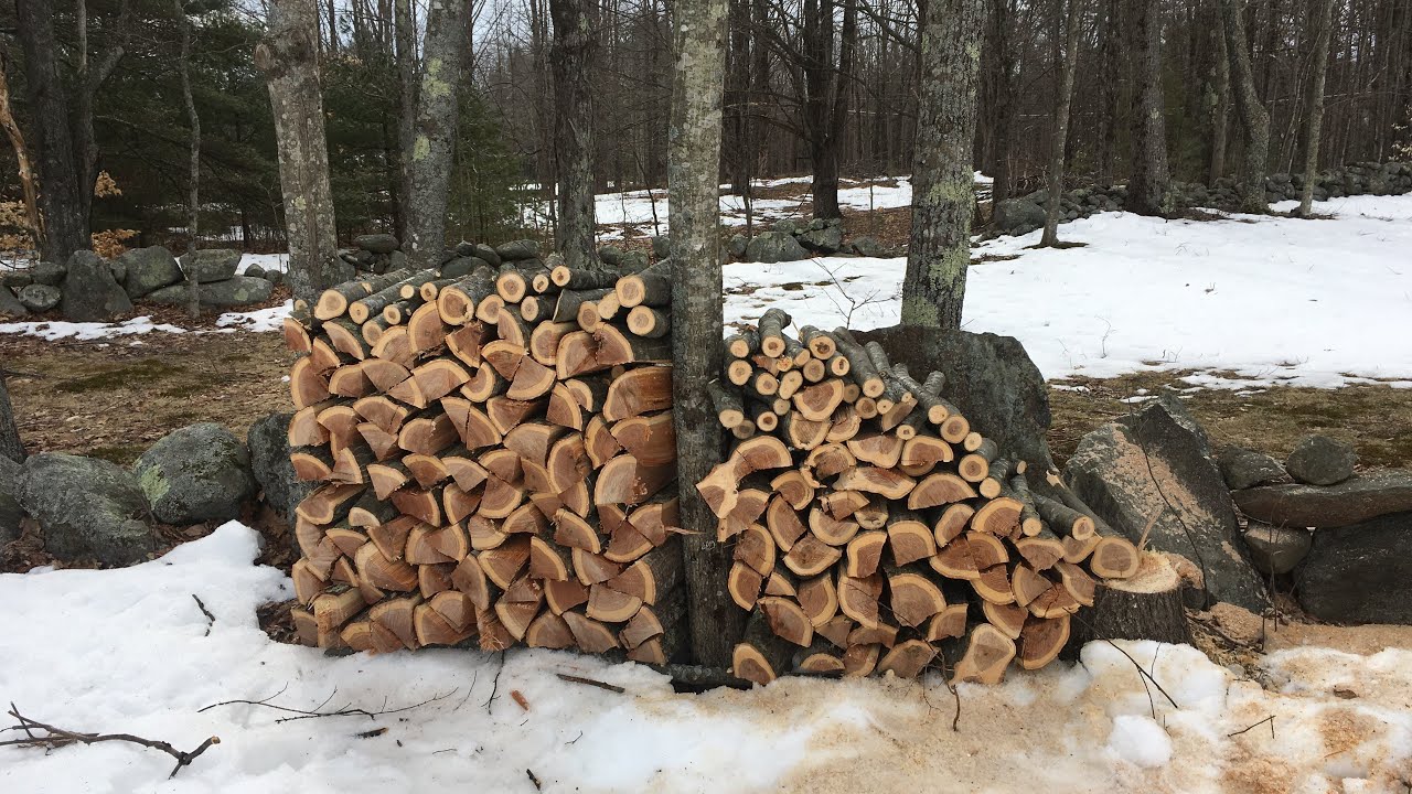 Firewood Time! Felling, Bucking, Splitting & Stacking Red Oak - YouTube