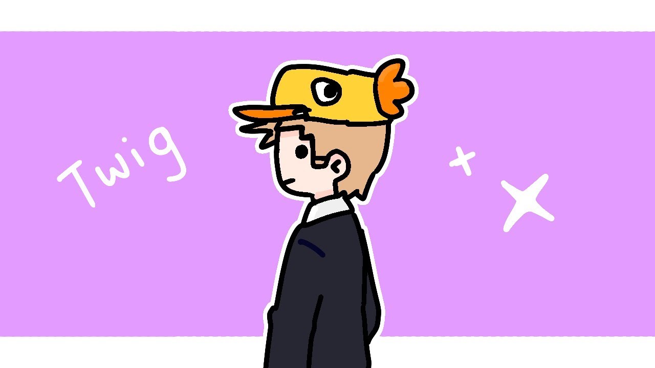 twig meme (minor flash ⚠️) - YouTube