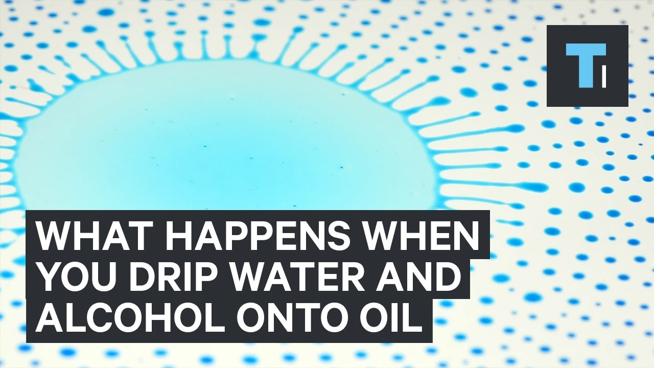 This is what happens when you drip water and alcohol onto oil - YouTube