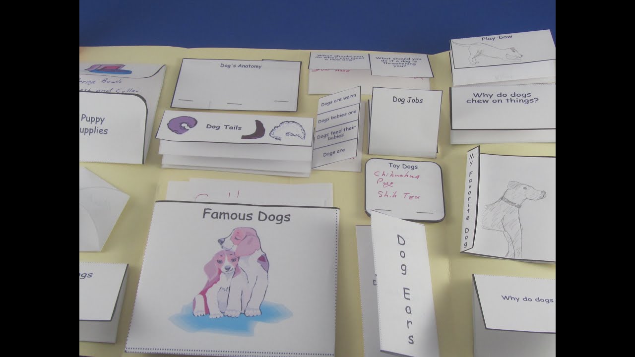 Dog Lapbook - YouTube