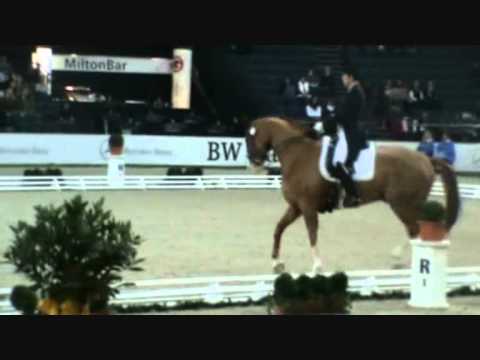 Hans Peter Bauer Schleyerhalle 2010 - YouTube