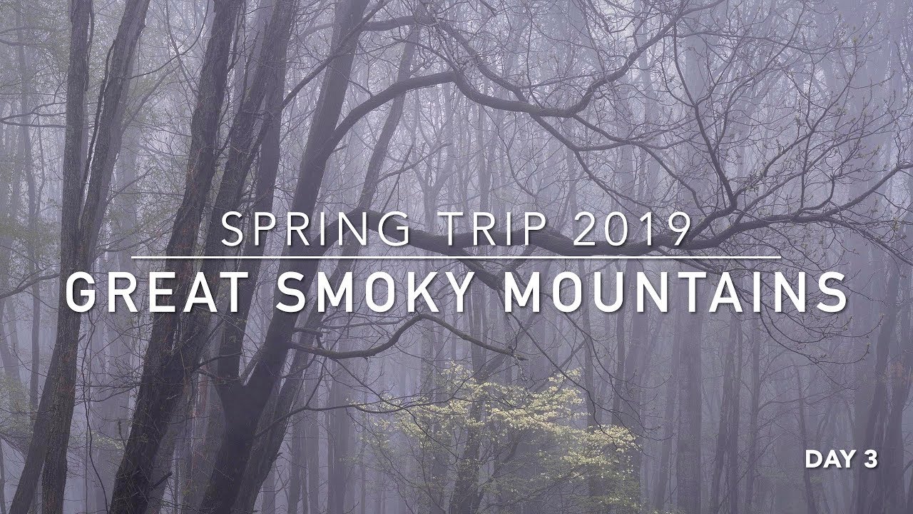 Great Smoky Mountains Landscape Photography Spring Trip 2019 - Day 3 ...