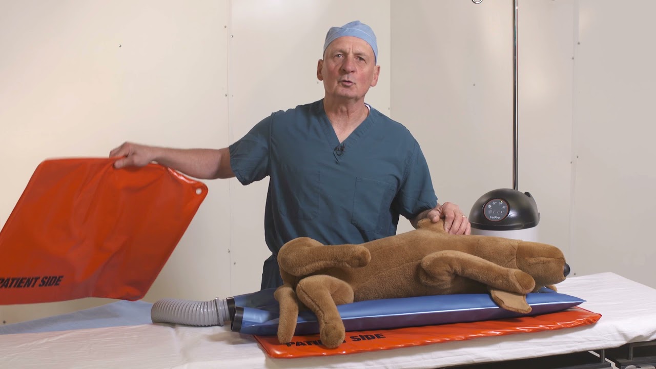 HoverHeat Product Demonstration | VetORSolutions | Veterinary Patient ...