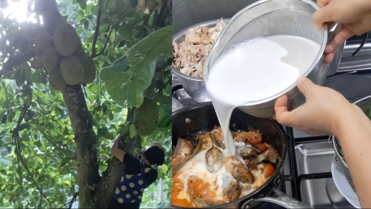 Joyjoy DailyLife Vlog is live! Peeling Jackfruit & Cooking Yummy Dish #asmr #farmlife - YouTube