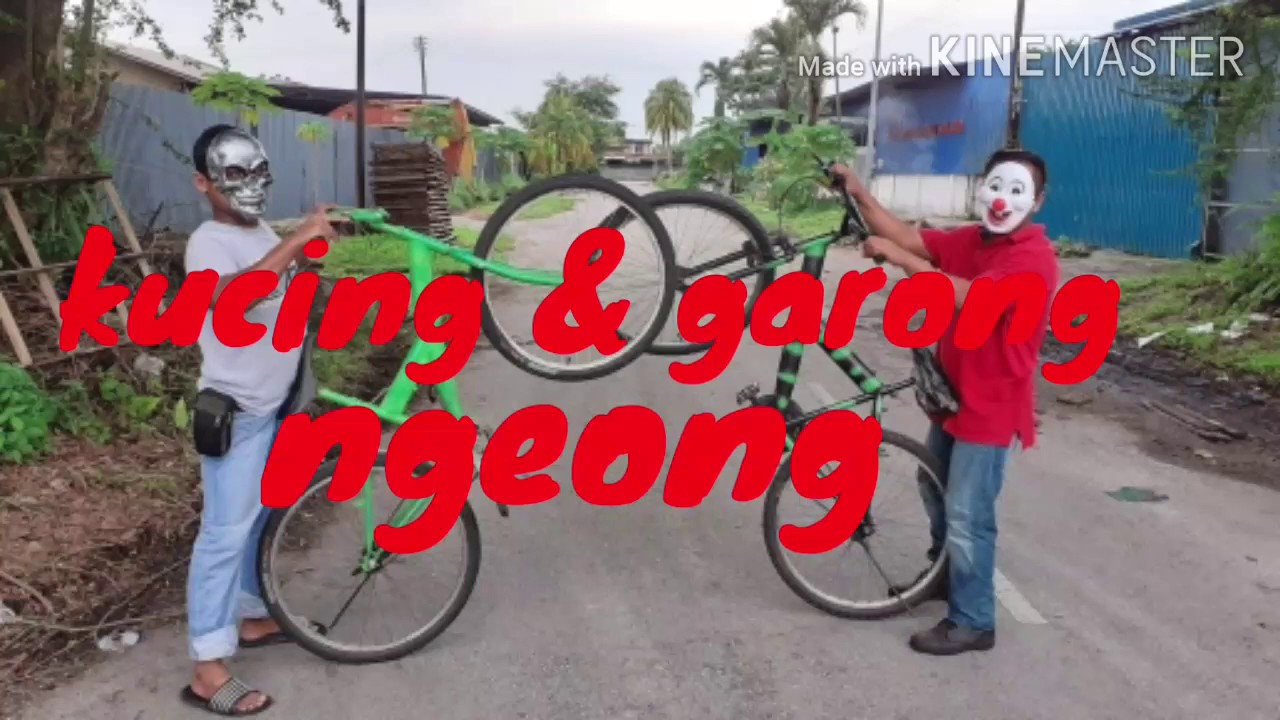 Kucing & garong - YouTube