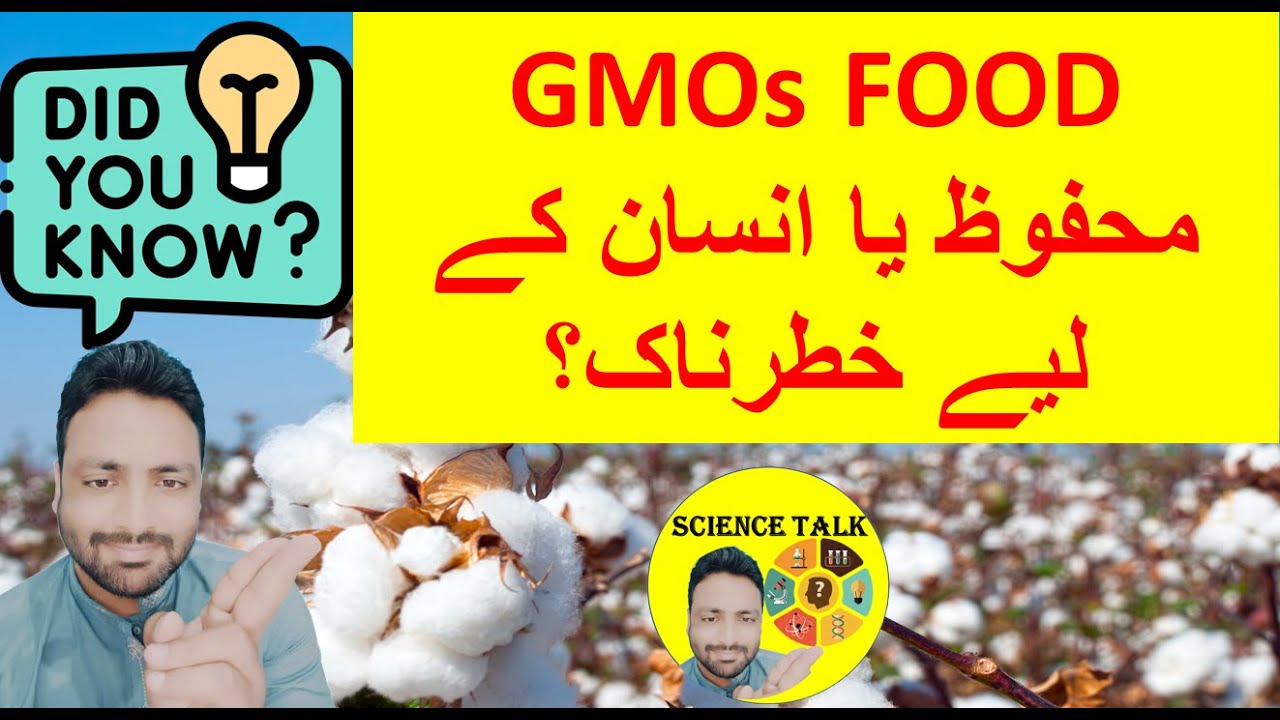 The Science behind the Safety of GMO Crops Explained: Kia GMO Safe Hain ...