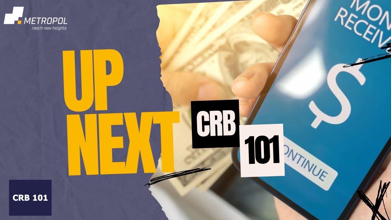 The Dynamics and Impact of DCPs on Borrowers and CRB Reporting in ...