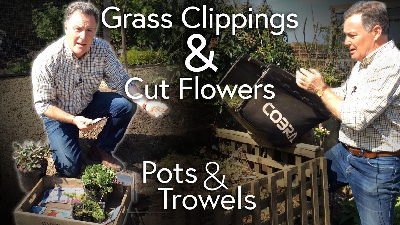 What to do with Grass Cuttings & How to Sow Cut Flowers - Pots ...