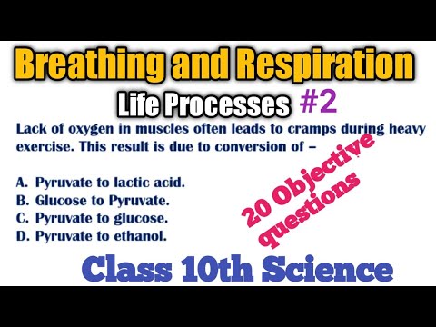 Most Important objective question from topic respiration/ Life process ...