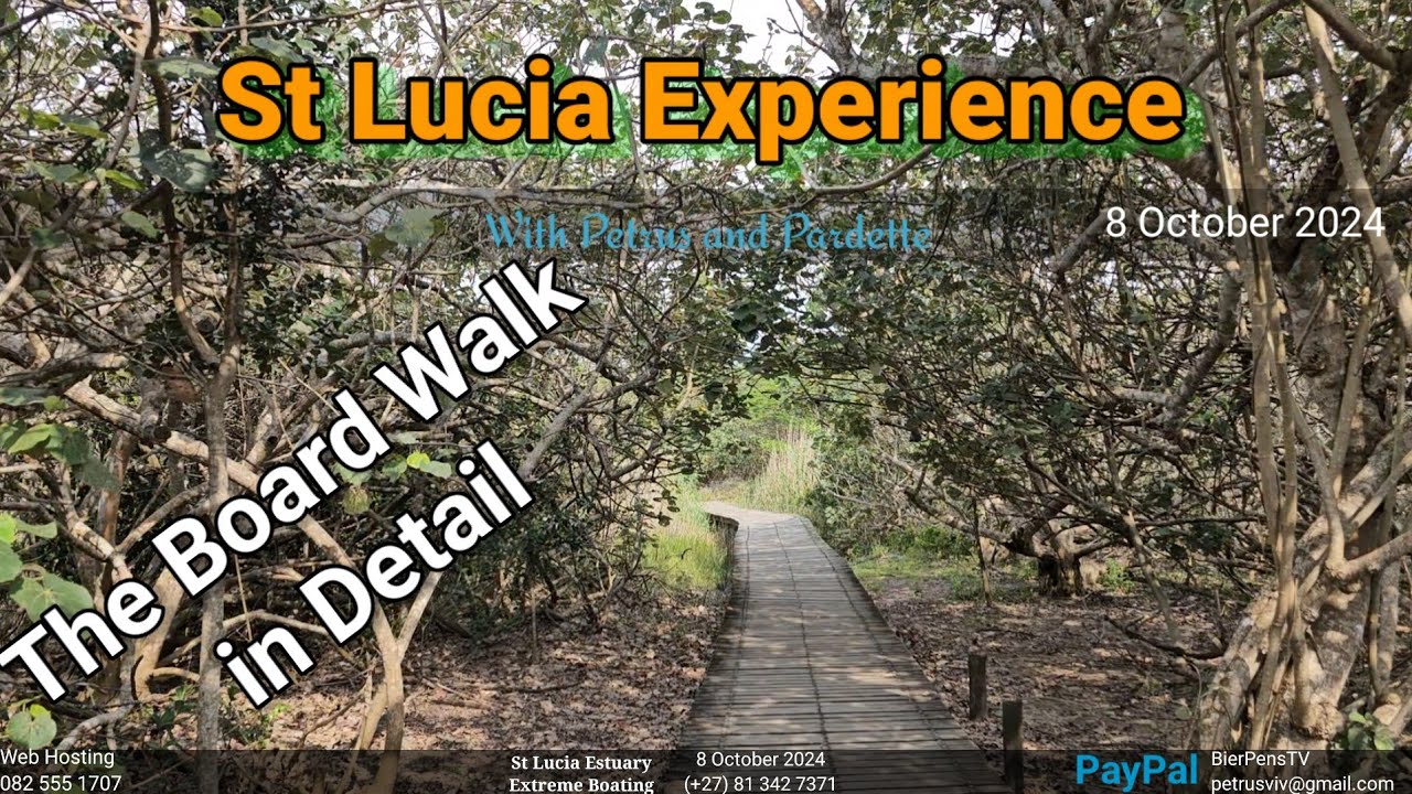 St Lucia Experience - 8 October 2024 - The Board Walk in detail. - YouTube