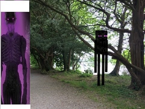Enderman attacks in real life