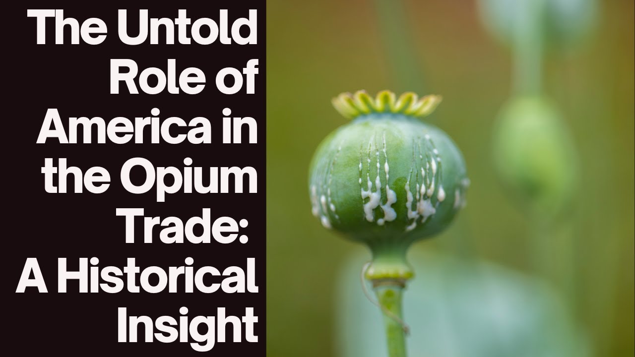 The Untold Role of America in the Opium Trade: A Historical Insight ...