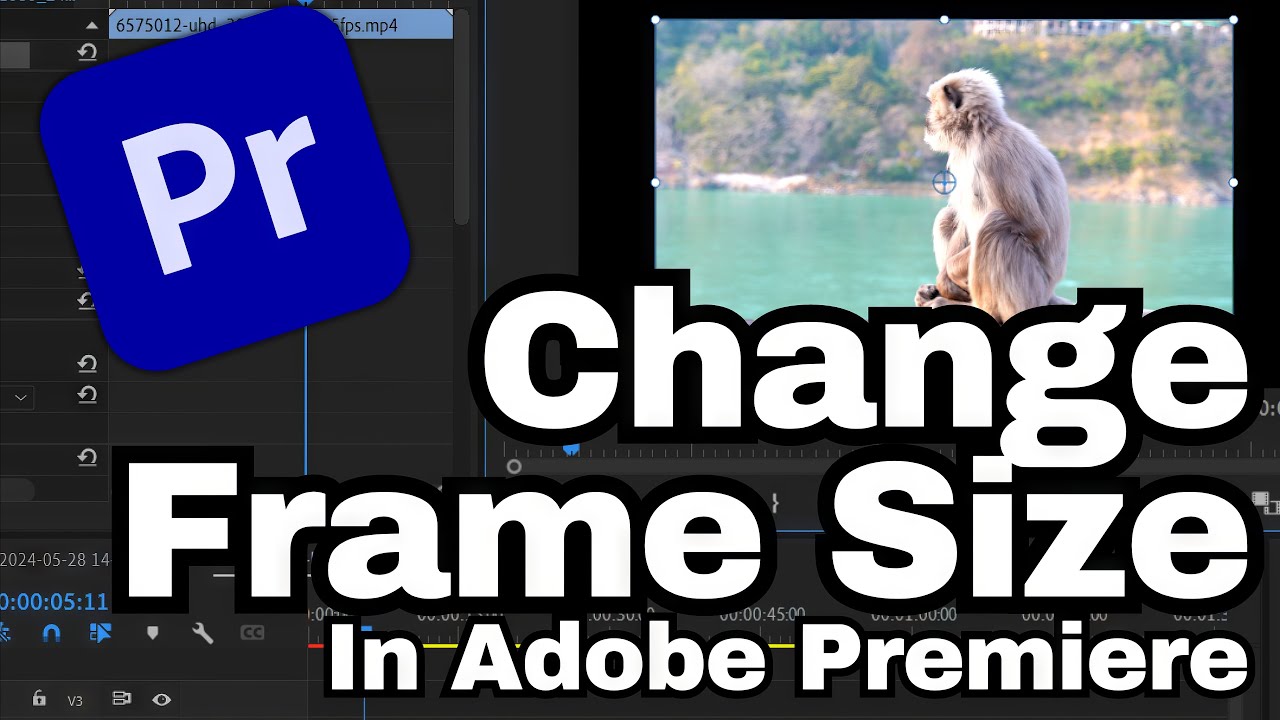 How to Change Frame Size in Adobe Premiere Pro CC | Adobe Tutorial ...