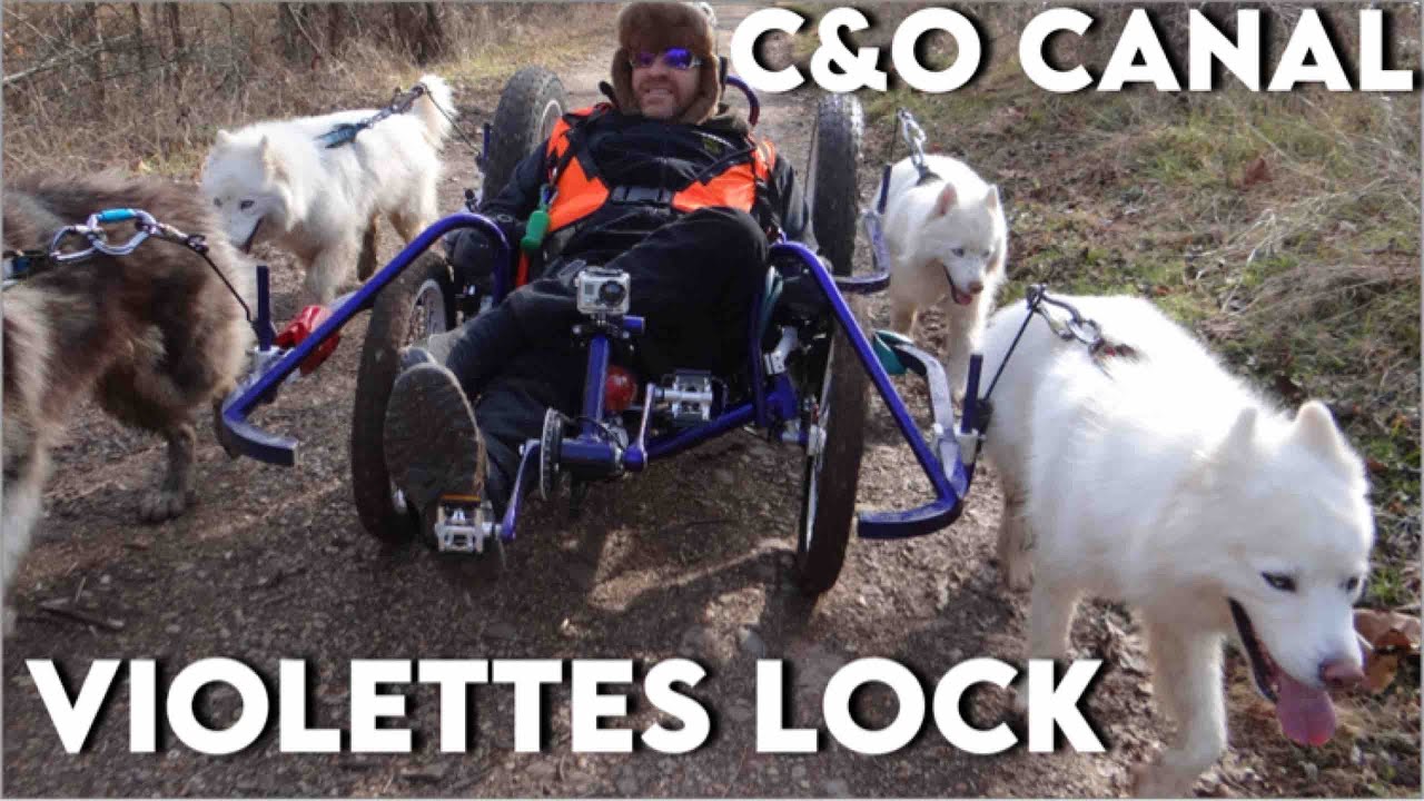 WooFDriver On Tour C&O Canal Violettes Lock Maryland 01.02.2013 - YouTube