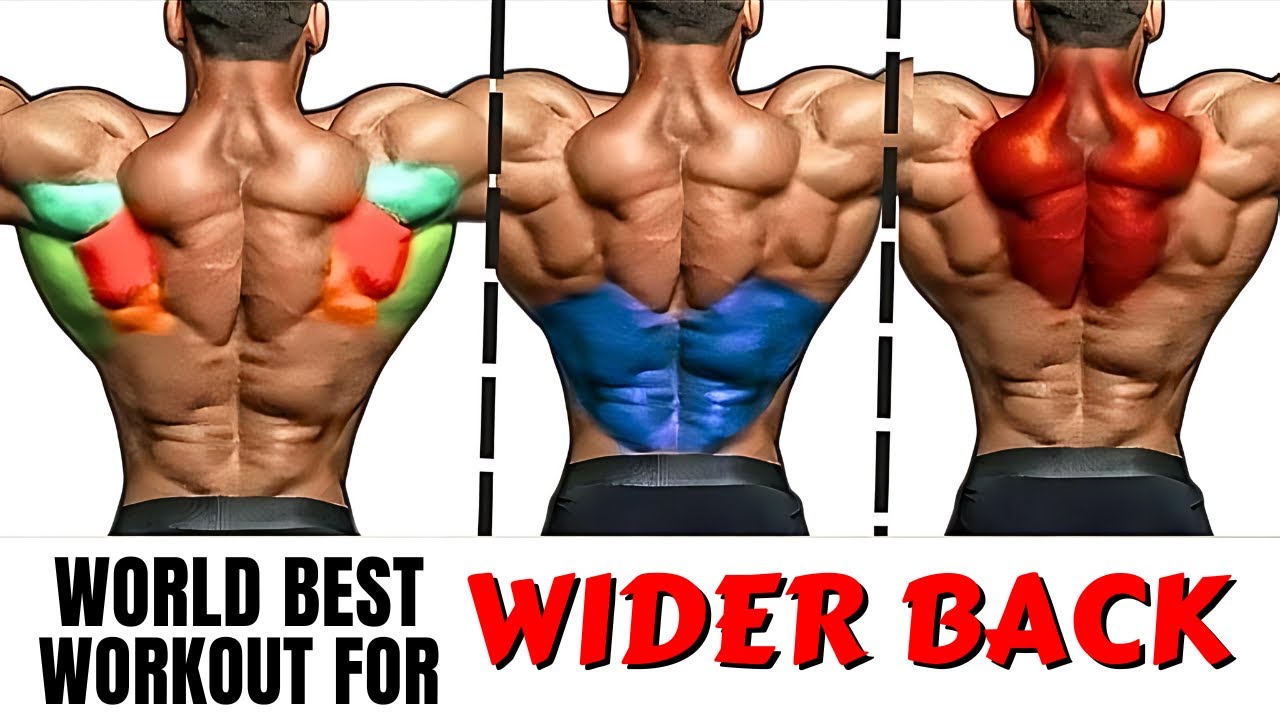 Top Exercises for a Wider Back Transformation | Back Day | #workout # ...