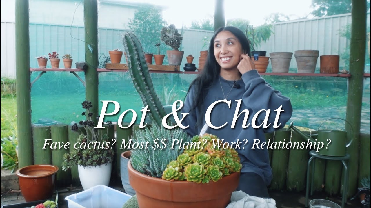 Pot & Chat | Answering your questions on my plant life, job and ...