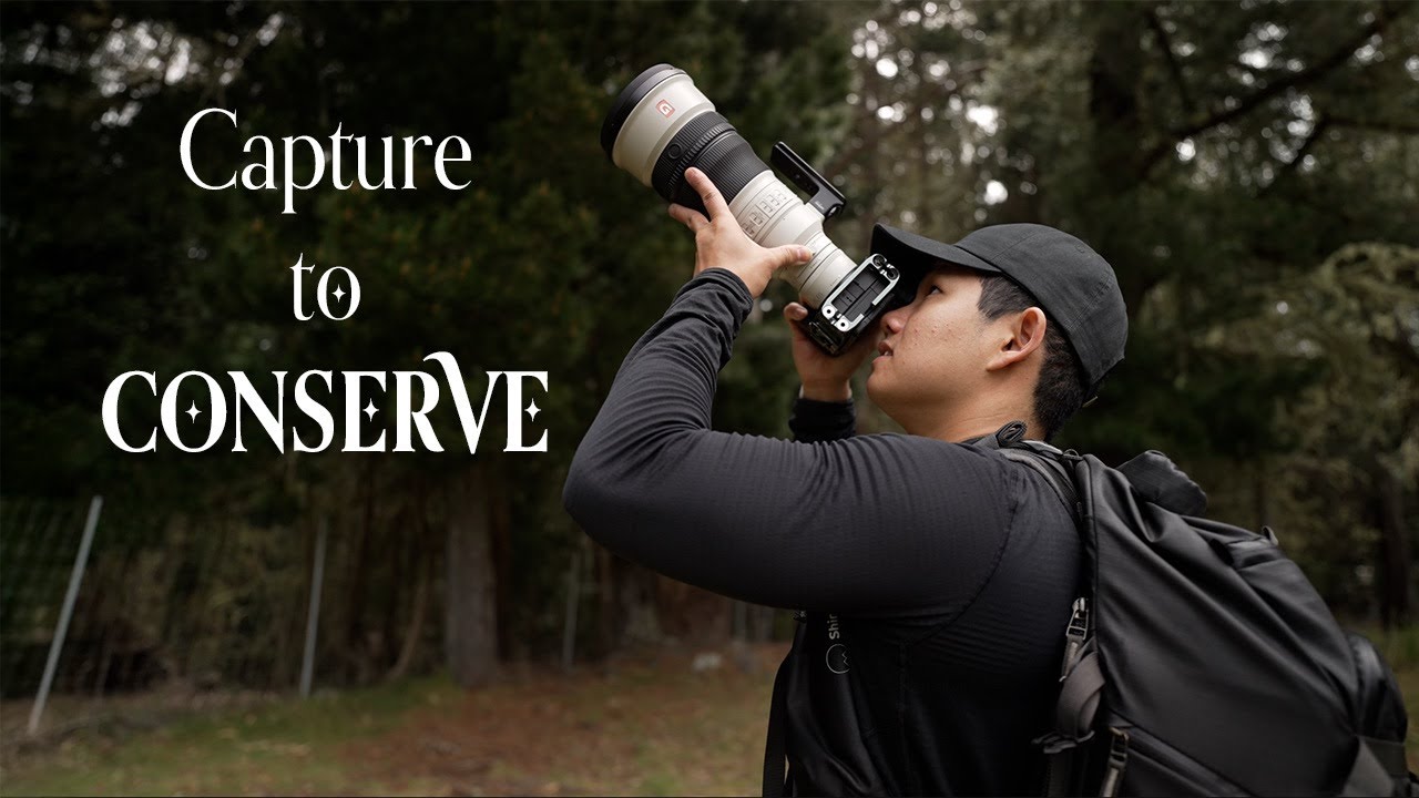 How Photographers Can Help Conservation - YouTube