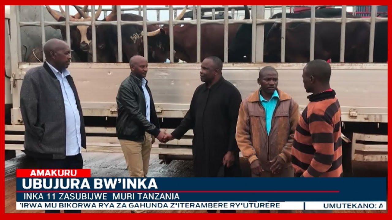Abaturage bibwe Inka muri Tanzania zikazanwa mu Rwanda barashima ko ...