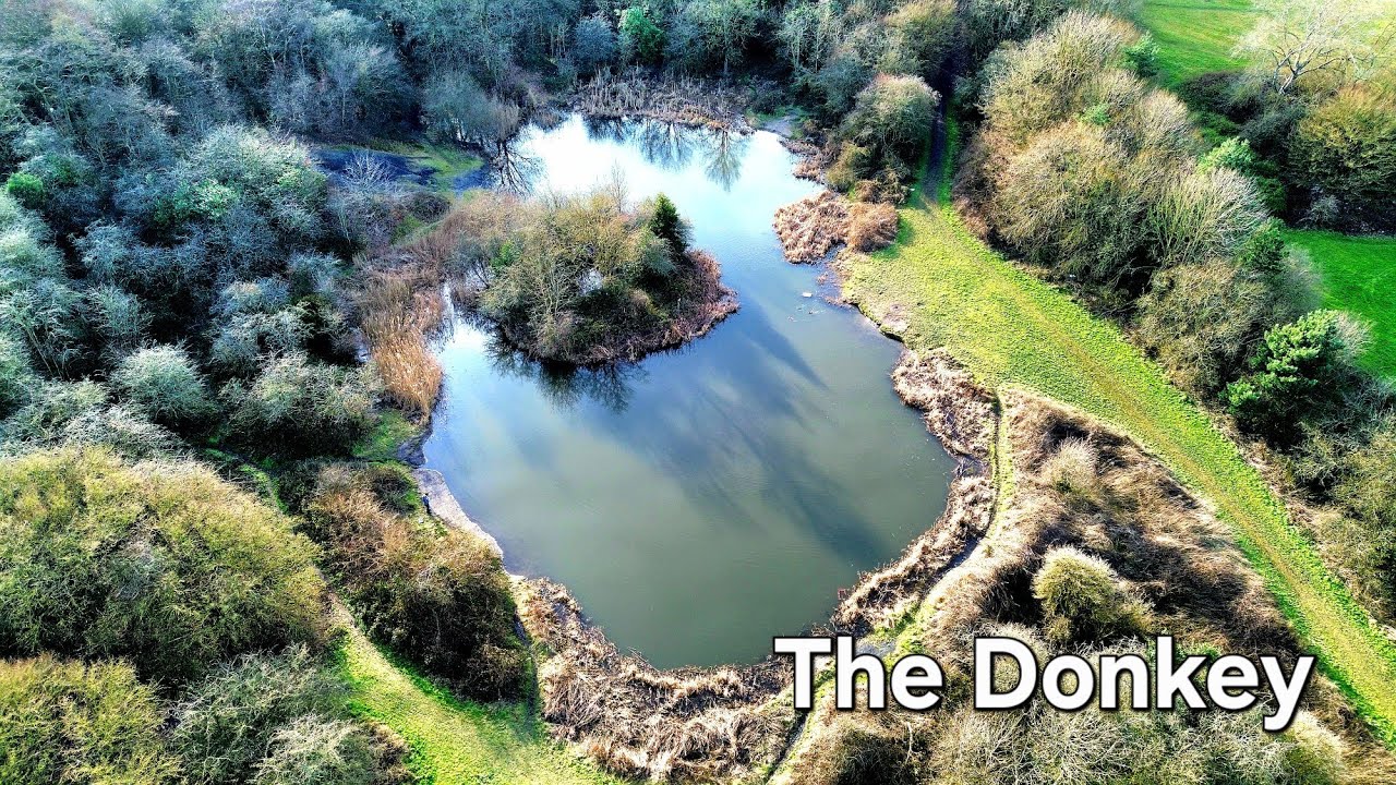 Donkey Pool, winter, Jan 2025 - YouTube