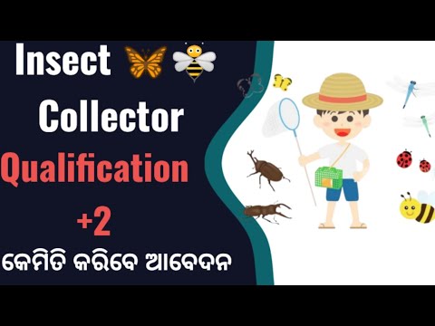 Bihar insect 🦋🐝 Collector how to apply ll କେମିତି କରିବେ ଆବେଦନ ll - YouTube