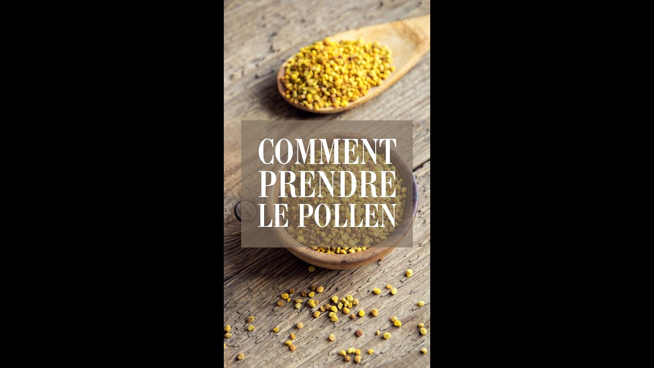 Comment prendre le Pollen des abeilles ? Faut-il prendre le pollen à jeun | Pollenergie.fr - YouTube