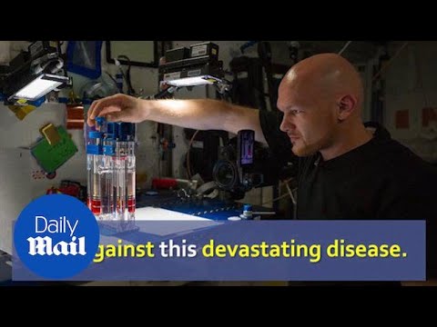 NASA begins conducting cancer research in microgravity environment ...
