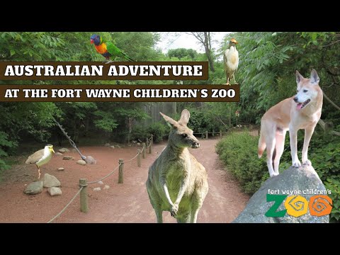 Australian Adventure at the Fort Wayne Children's Zoo | Exhibit Tours Ep. 18