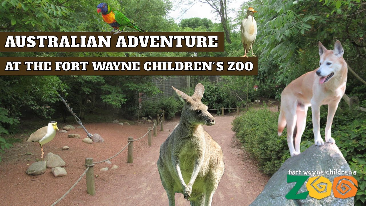 Australian Adventure at the Fort Wayne Children's Zoo | Exhibit Tours ...