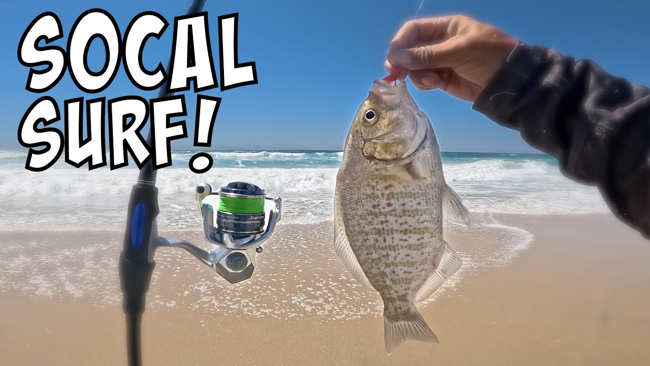 Fishing VLOG - Checking out a new Reel and TRYING to catch a FISH ...