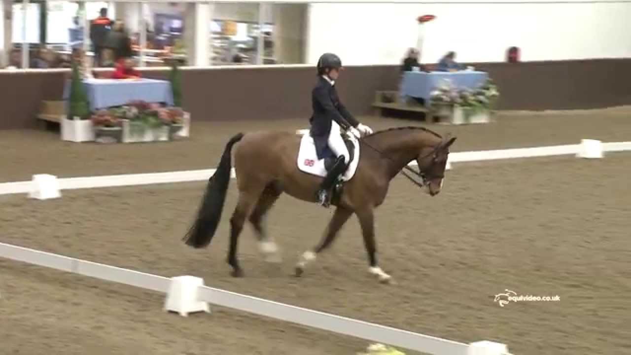 Heidi Fellows on Prototype, 2015 FEI International Dressage Competition ...