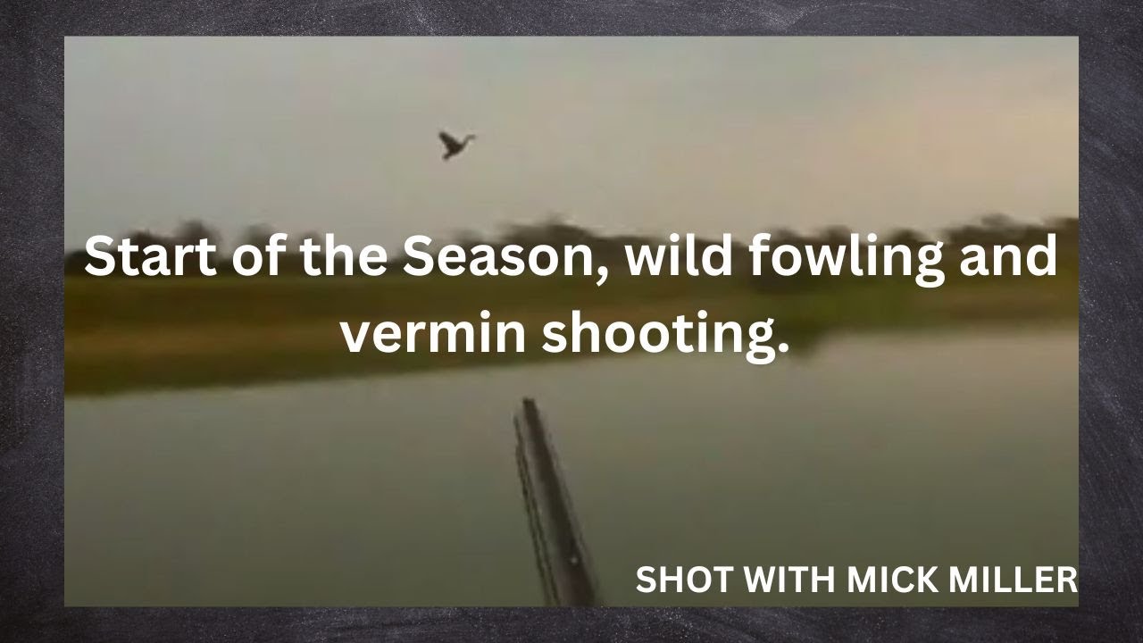 Start of the Season, wild fowling and vermin shooting. - YouTube